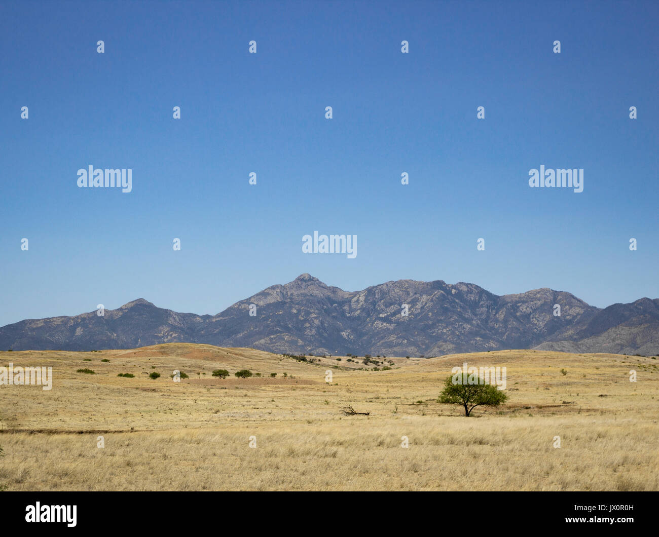 Mule Mountains in Bisbee, AZ; 2017 Stock Photo - Alamy