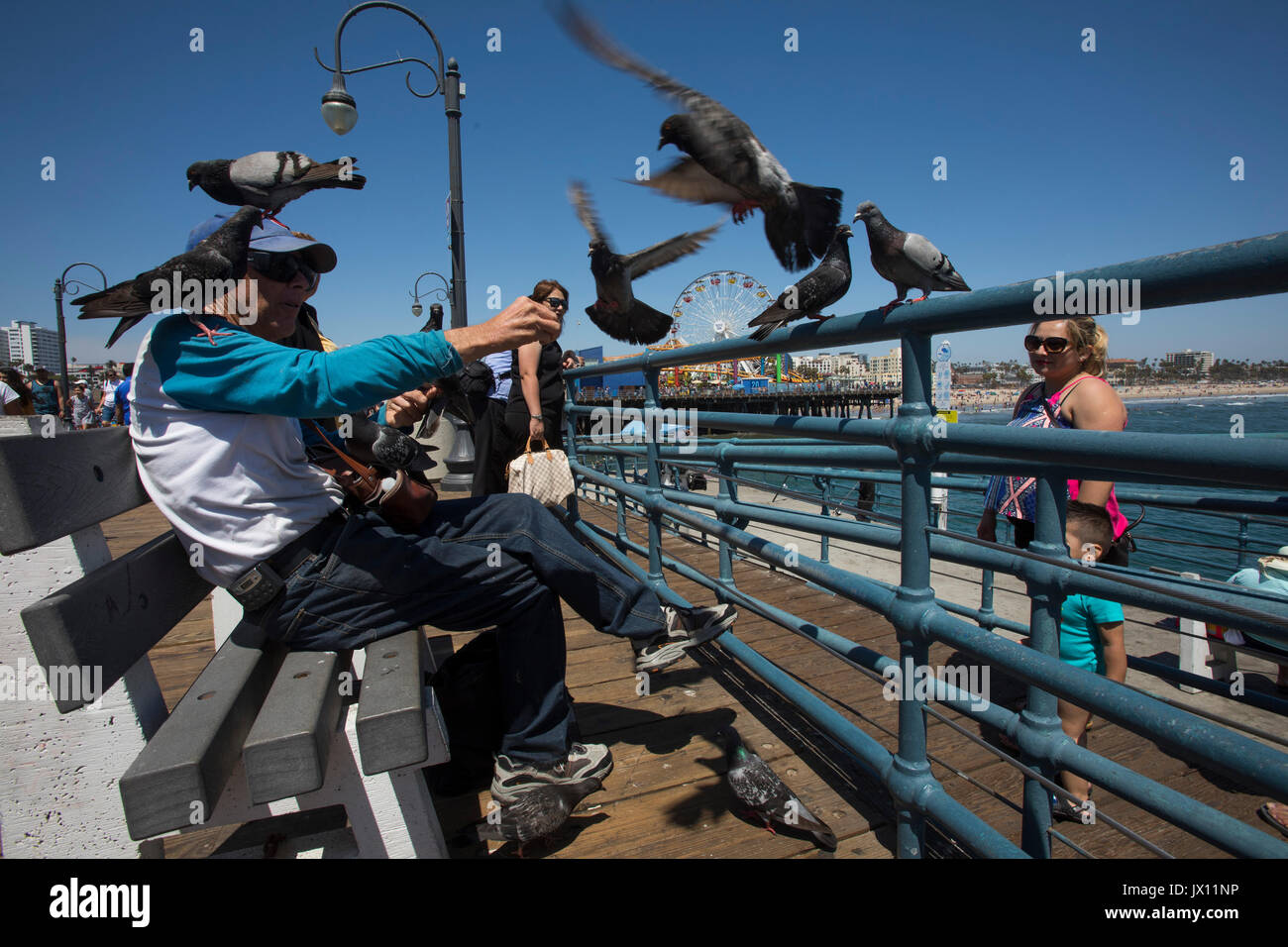 Steve feeds the pigeons on the pier. Santa Monica, Los Angeles County ...
