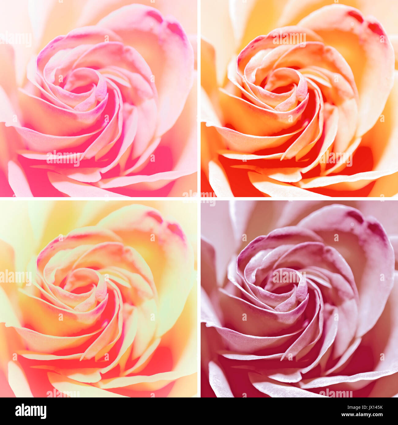 Four variants hi-res stock photography and images - Alamy