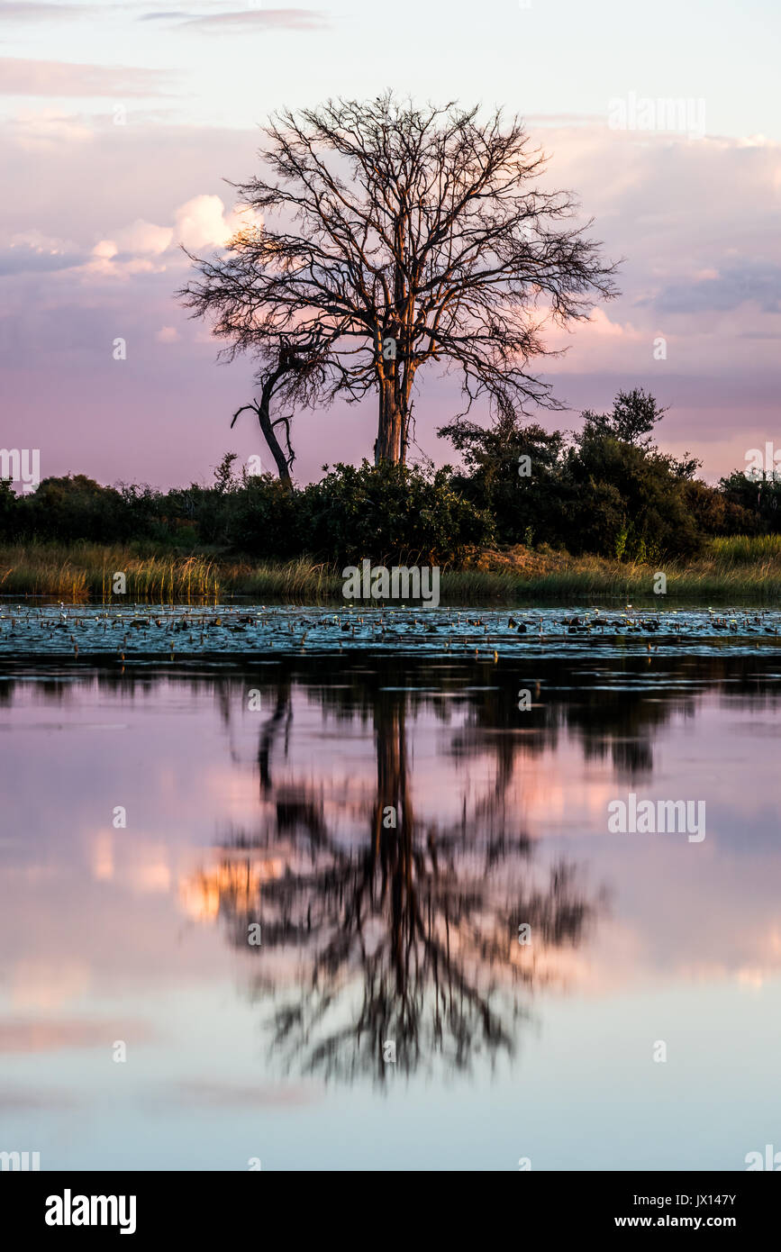 National moment of reflection hi-res stock photography and images - Alamy