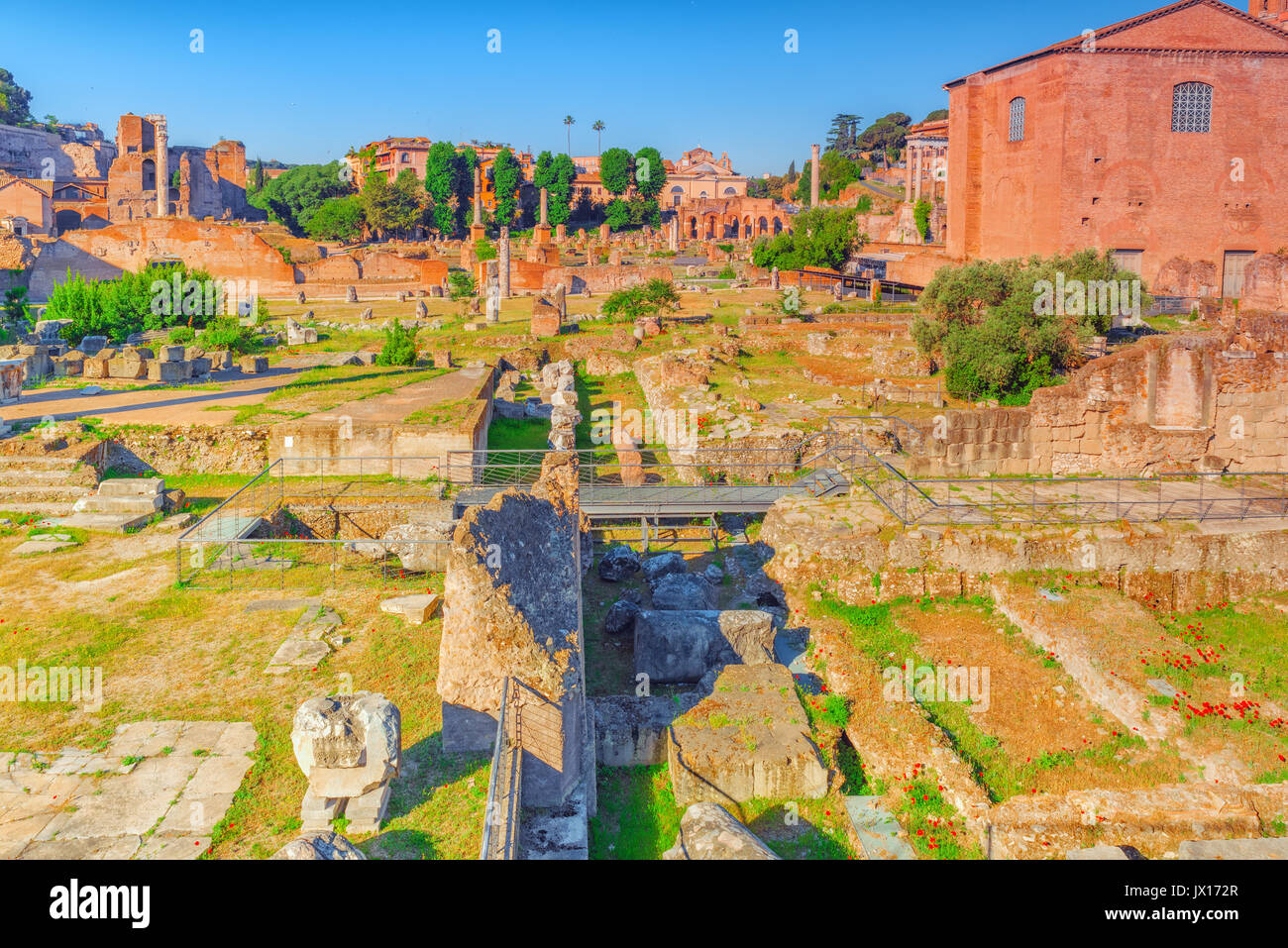 Basilica iulia hi-res stock photography and images - Alamy