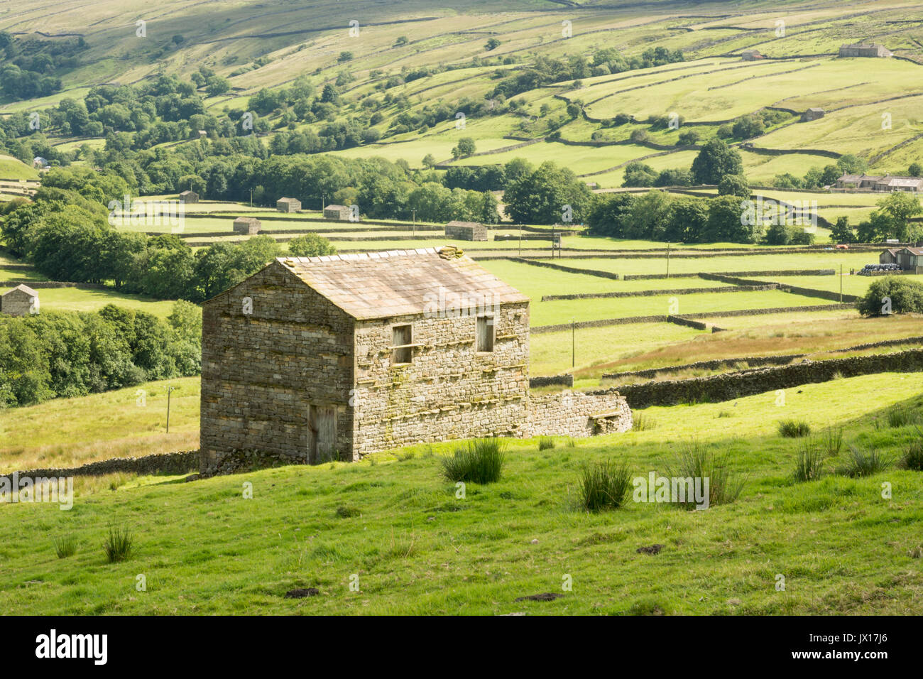 Barns and fields of Swaledale in the Yorkshire Dales Stock Photo - Alamy