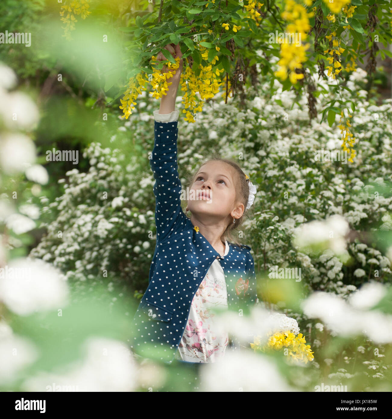 Little girl tears flowers from trees in a blooming garden Stock Photo ...