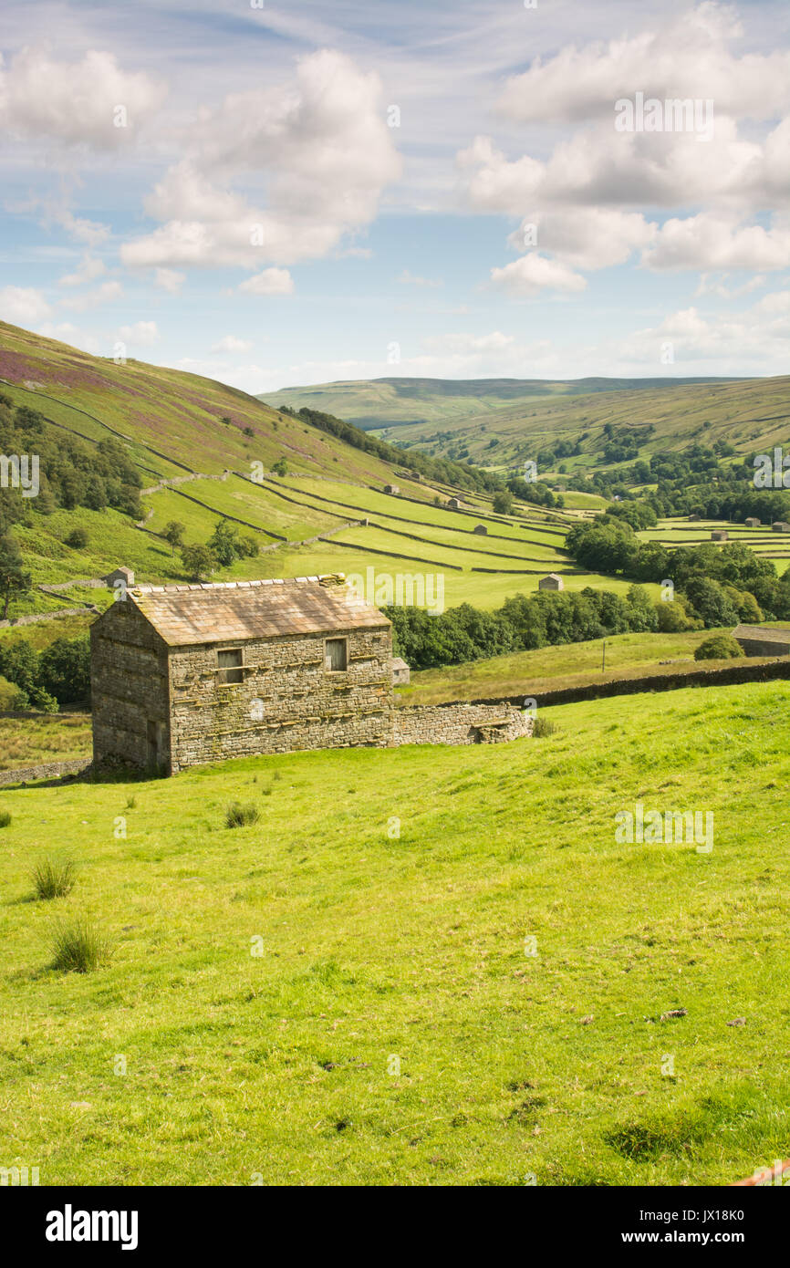 Barns and fields of Swaledale in the Yorkshire Dales Stock Photo - Alamy
