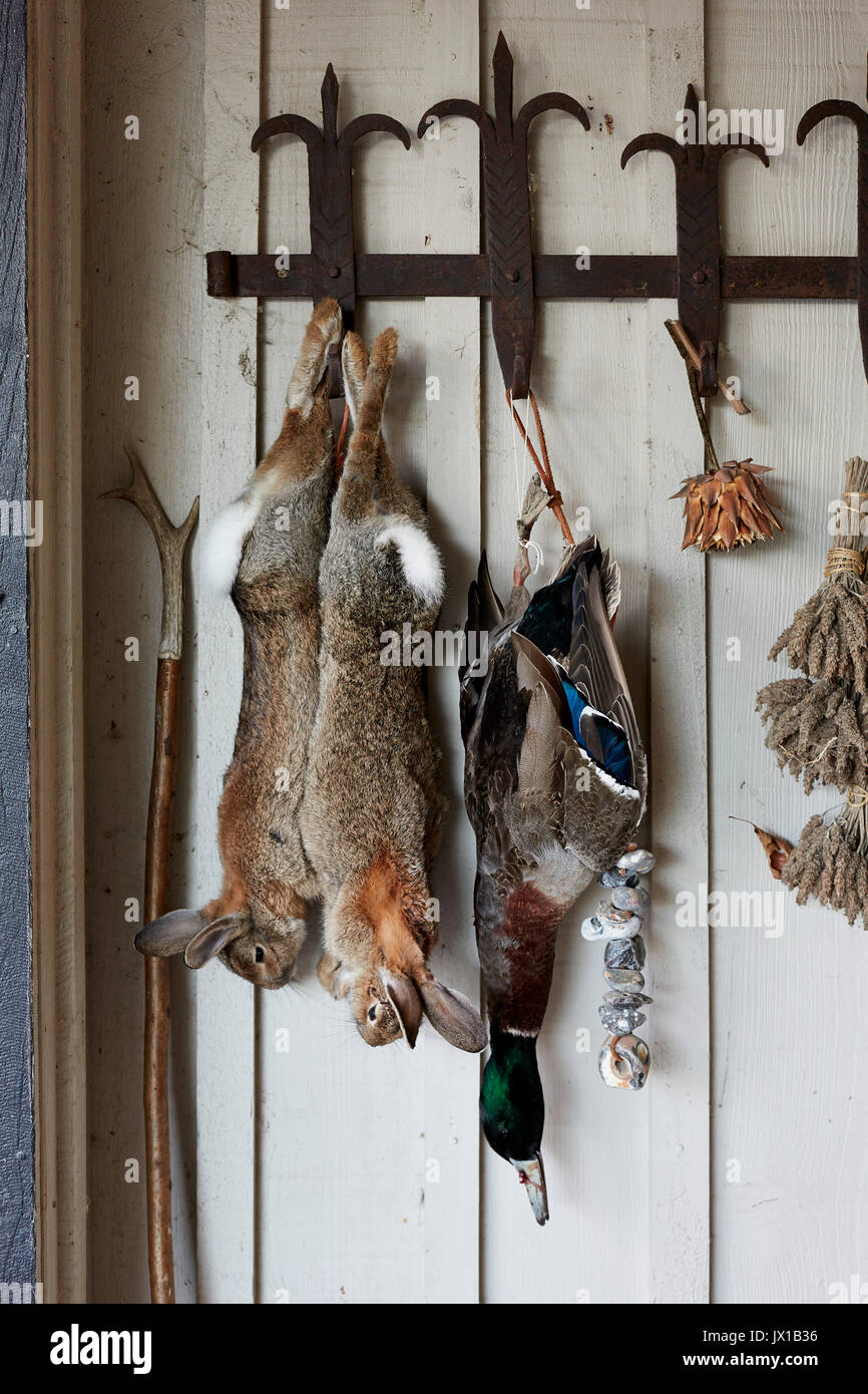 Shooting rabbits hi-res stock photography and images - Alamy