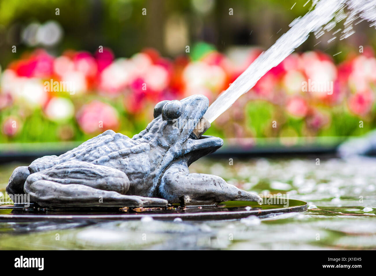 Quebec City, Canada - May 29, 2017: Closeup of floating toad sculpture ...