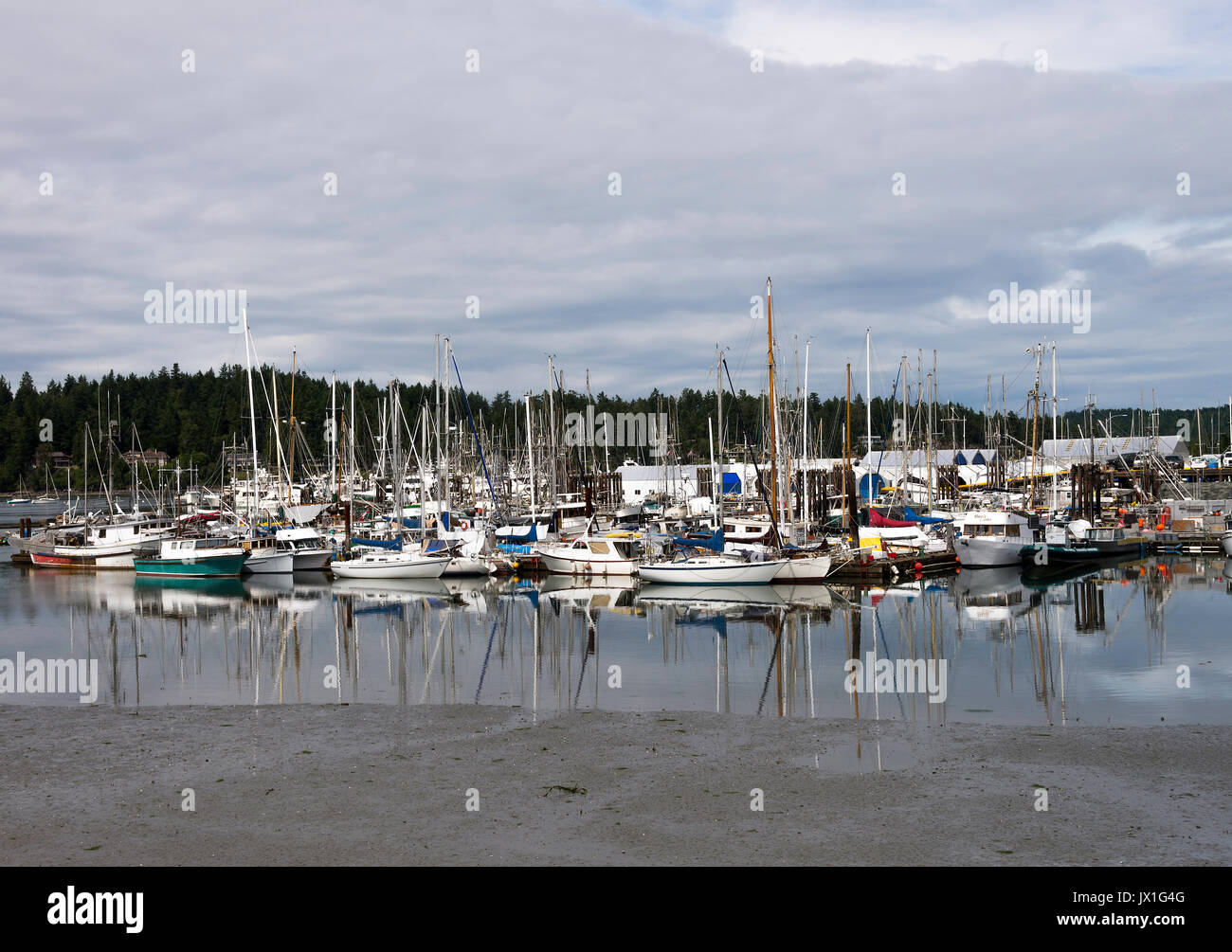 Mirror Like Images of Yachts and Boats Docked in a Marina at Tsehum ...