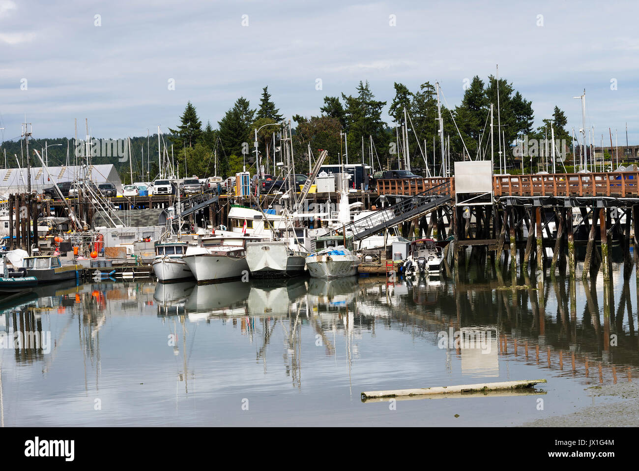 Mirror Like Images of Yachts and Boats Docked in a Marina at Tsehum ...