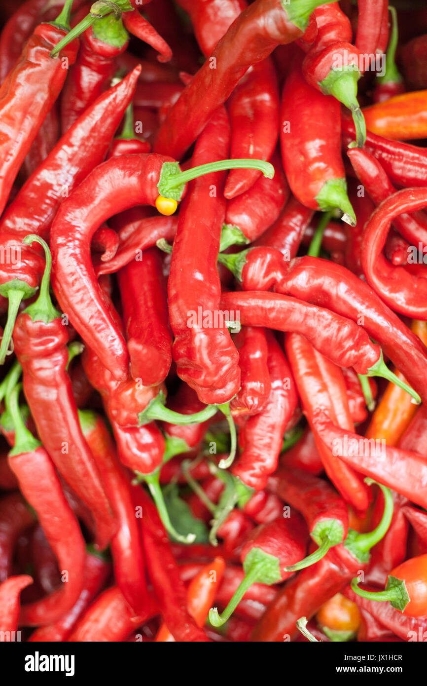 Red peppers background texture of red pepper, hot red pepper, red chili ...