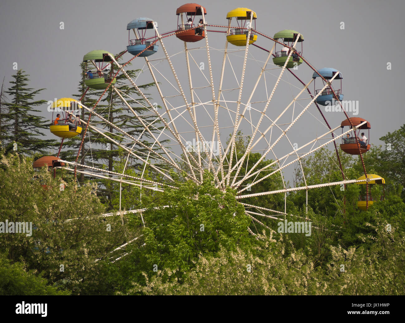 Ferris wheel over treetops hi-res stock photography and images - Alamy