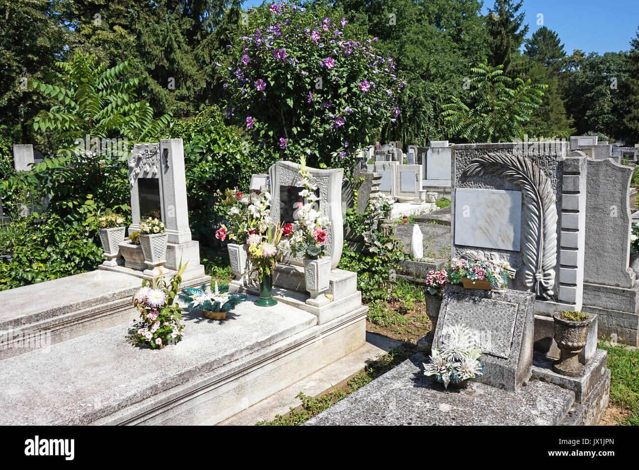 Tombstones in the public cemetery Stock Photo - Alamy
