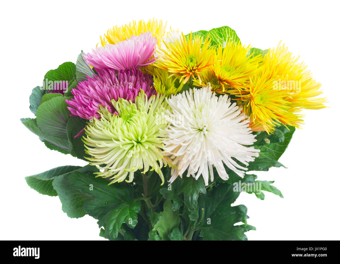 Chrisantemum bouquet hi-res stock photography and images - Alamy
