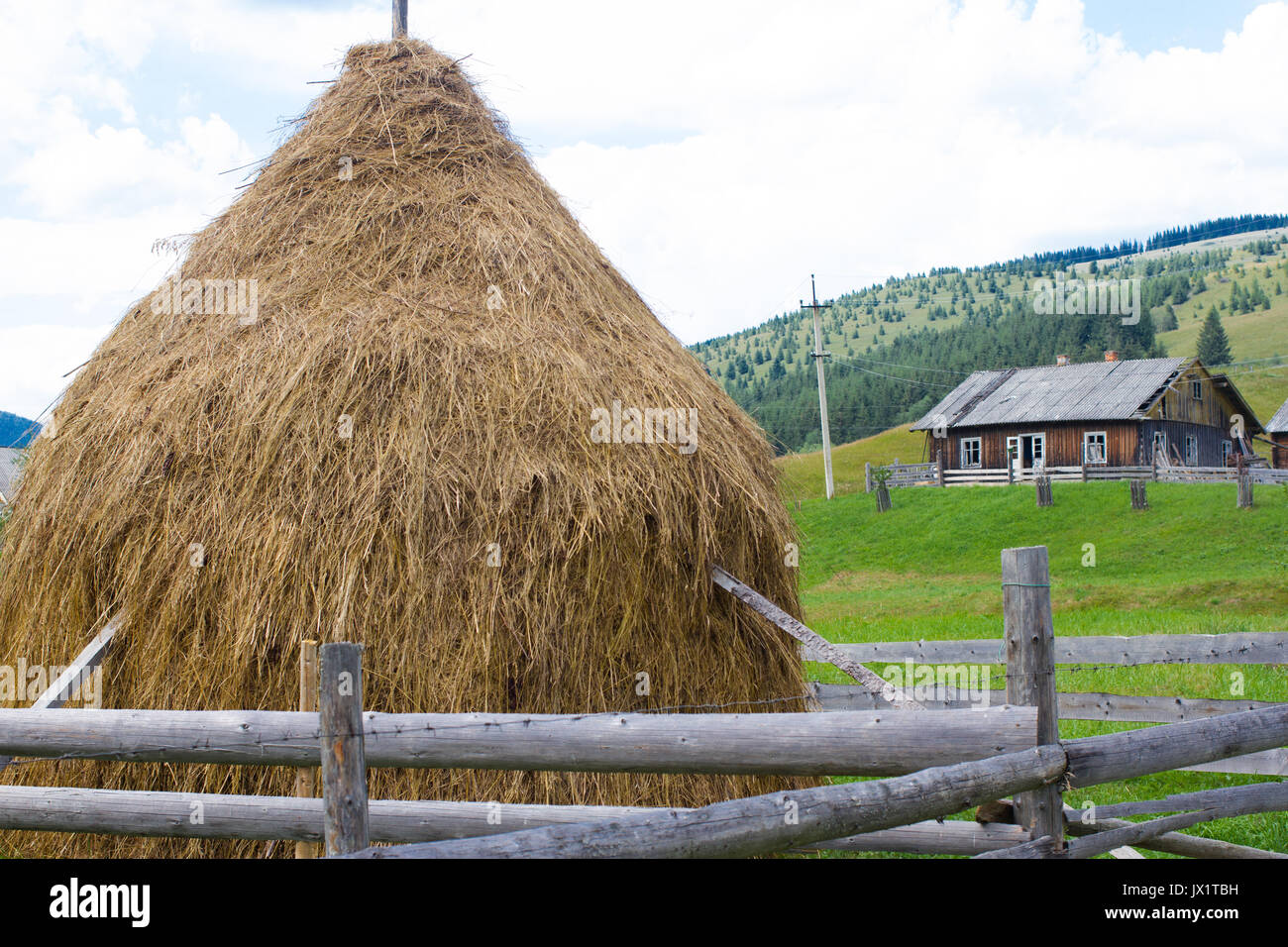Haystack on background of deciduous forests and fields and grass ...