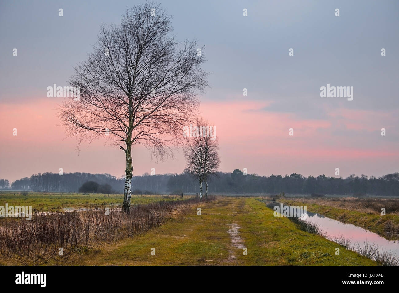 Bremen landscape hi-res stock photography and images - Alamy