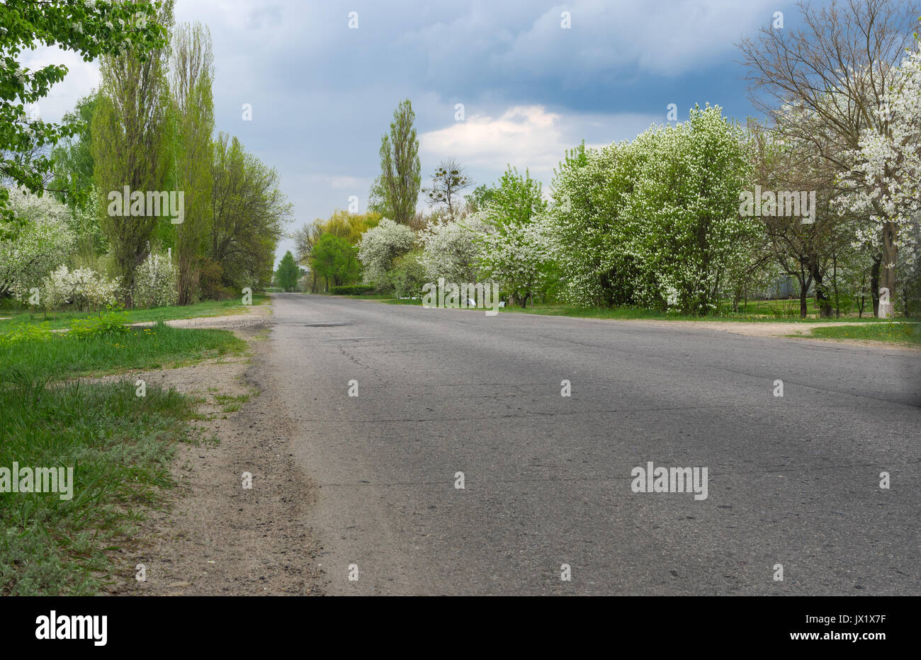 Cherry tree roadside trees hi-res stock photography and images - Alamy