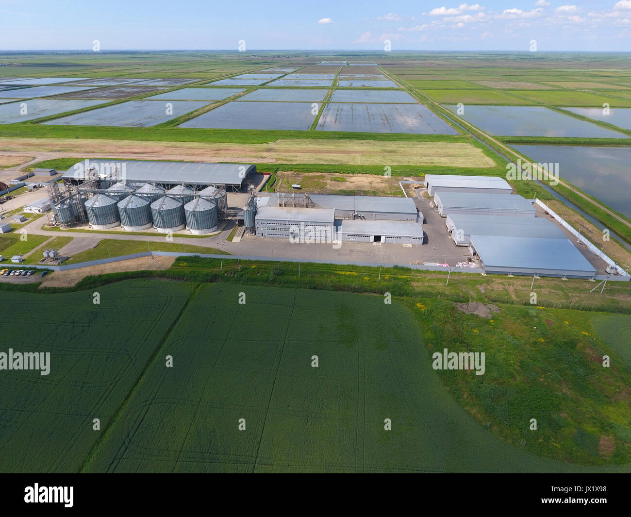 Grain terminal. Plant for the drying and storage of grain. Rice plant ...