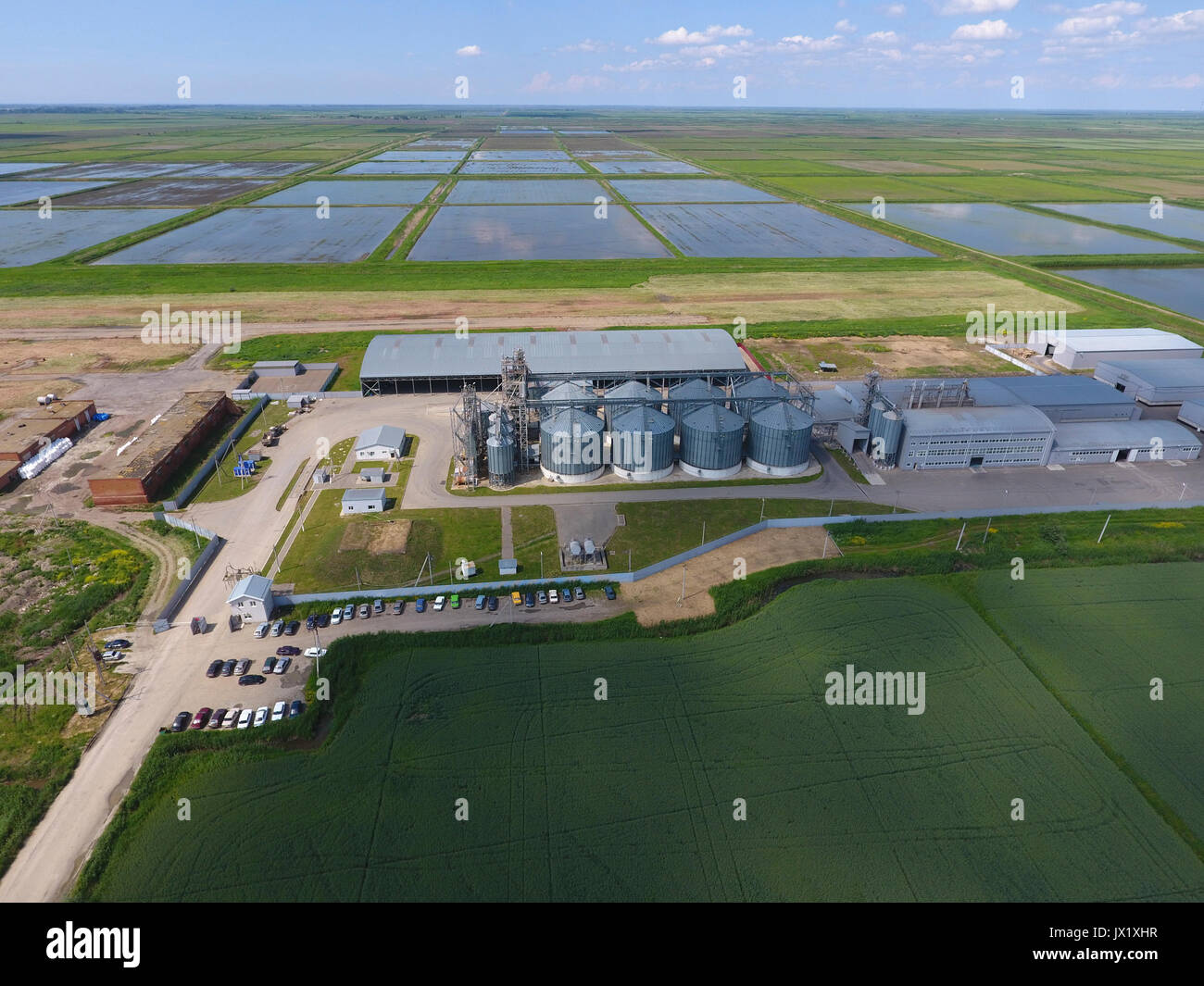 Grain terminal. Plant for the drying and storage of grain. Rice plant ...