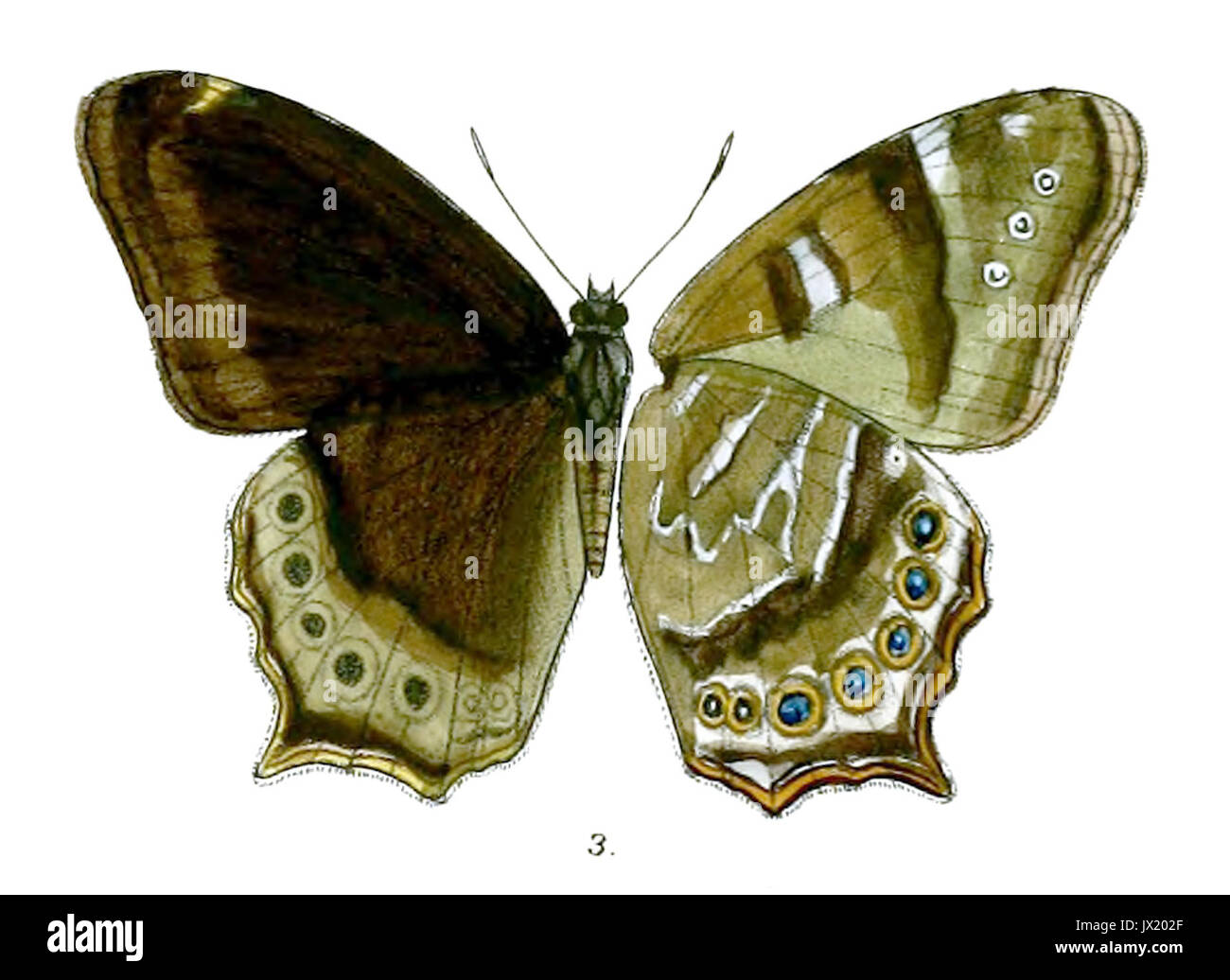 Lethe painting hi-res stock photography and images - Alamy