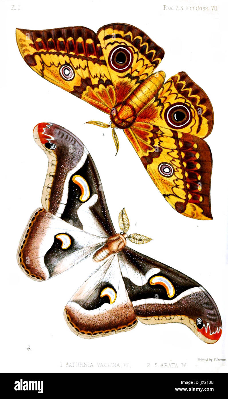 Maritime identification Cut Out Stock Images & Pictures - Alamy