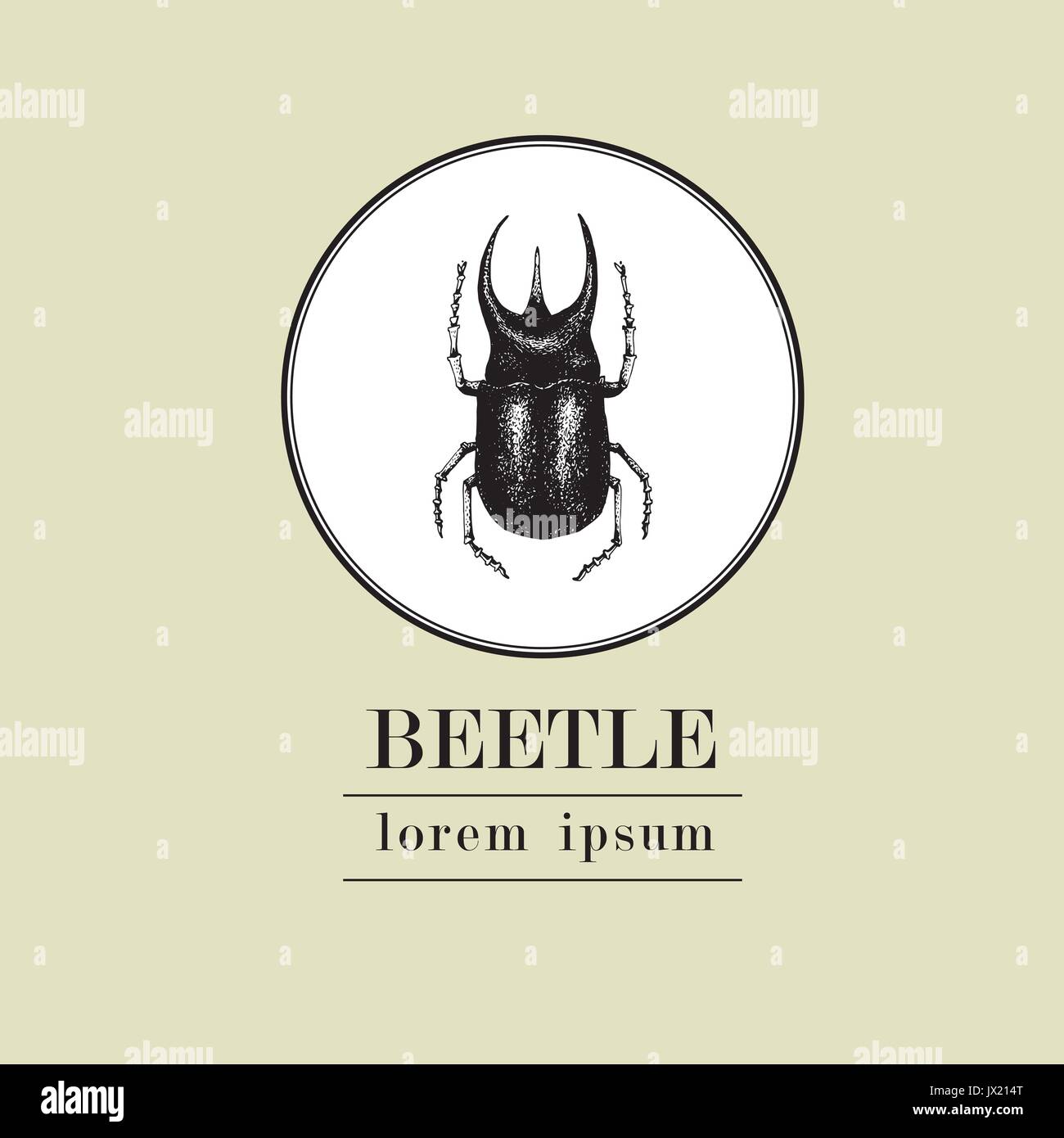 Vector vintage hand drawn vector logo template with beetle, insect on a ...