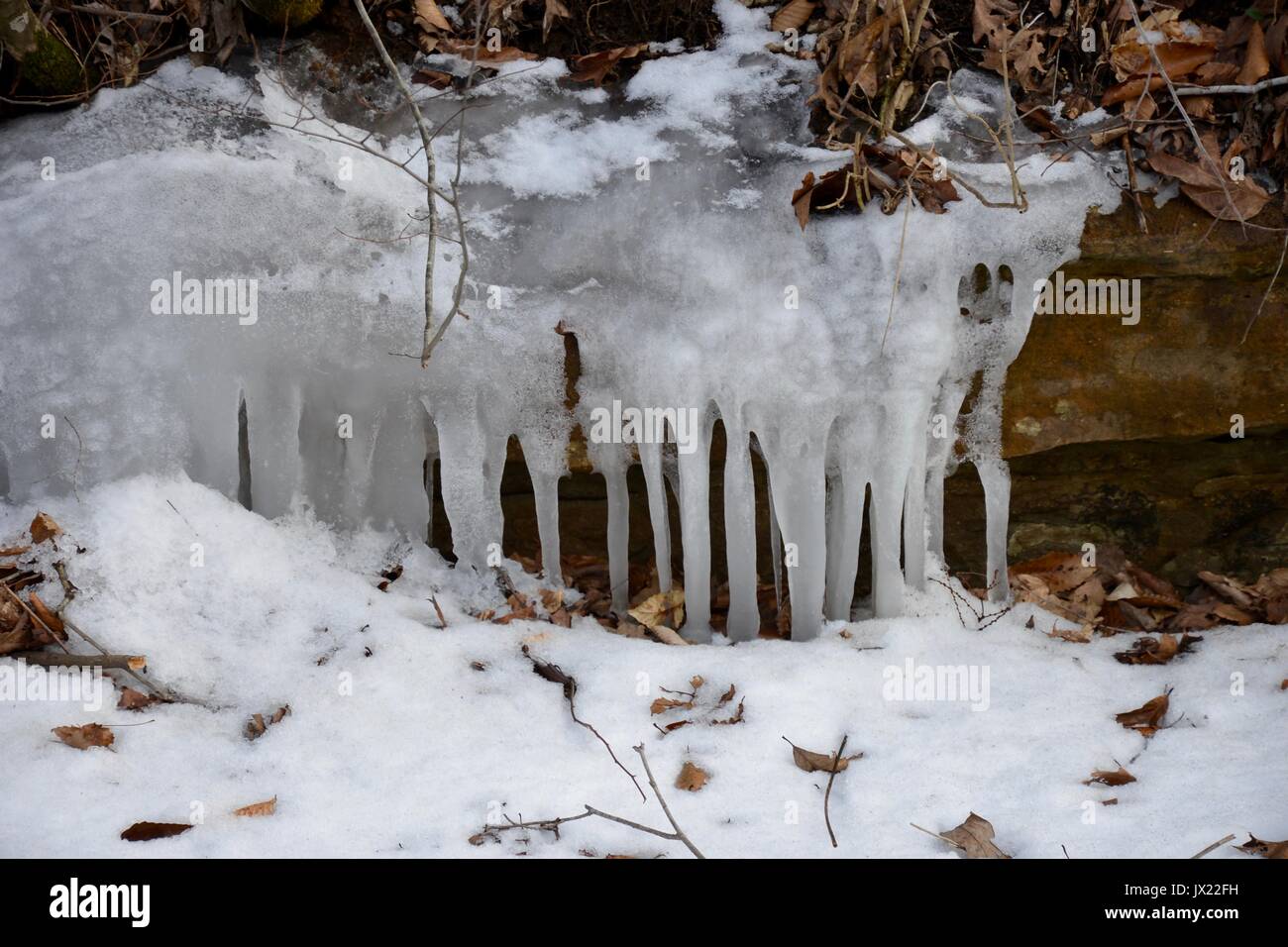 Icicles and snow in the woods Stock Photo - Alamy