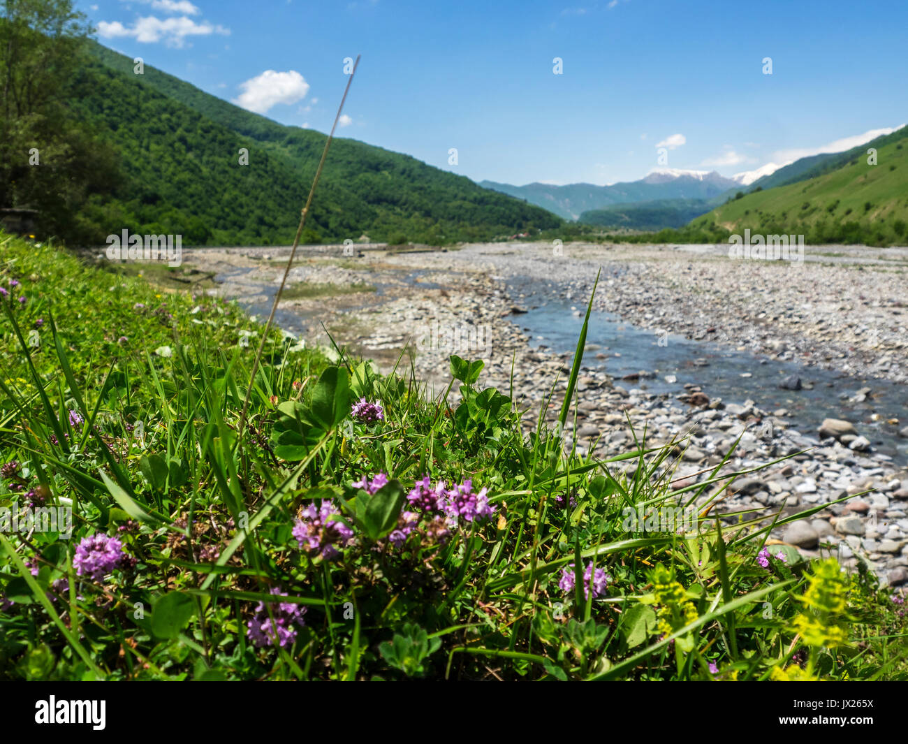 Valley of the Aragvi River. The slopes of the valley overgrown with ...