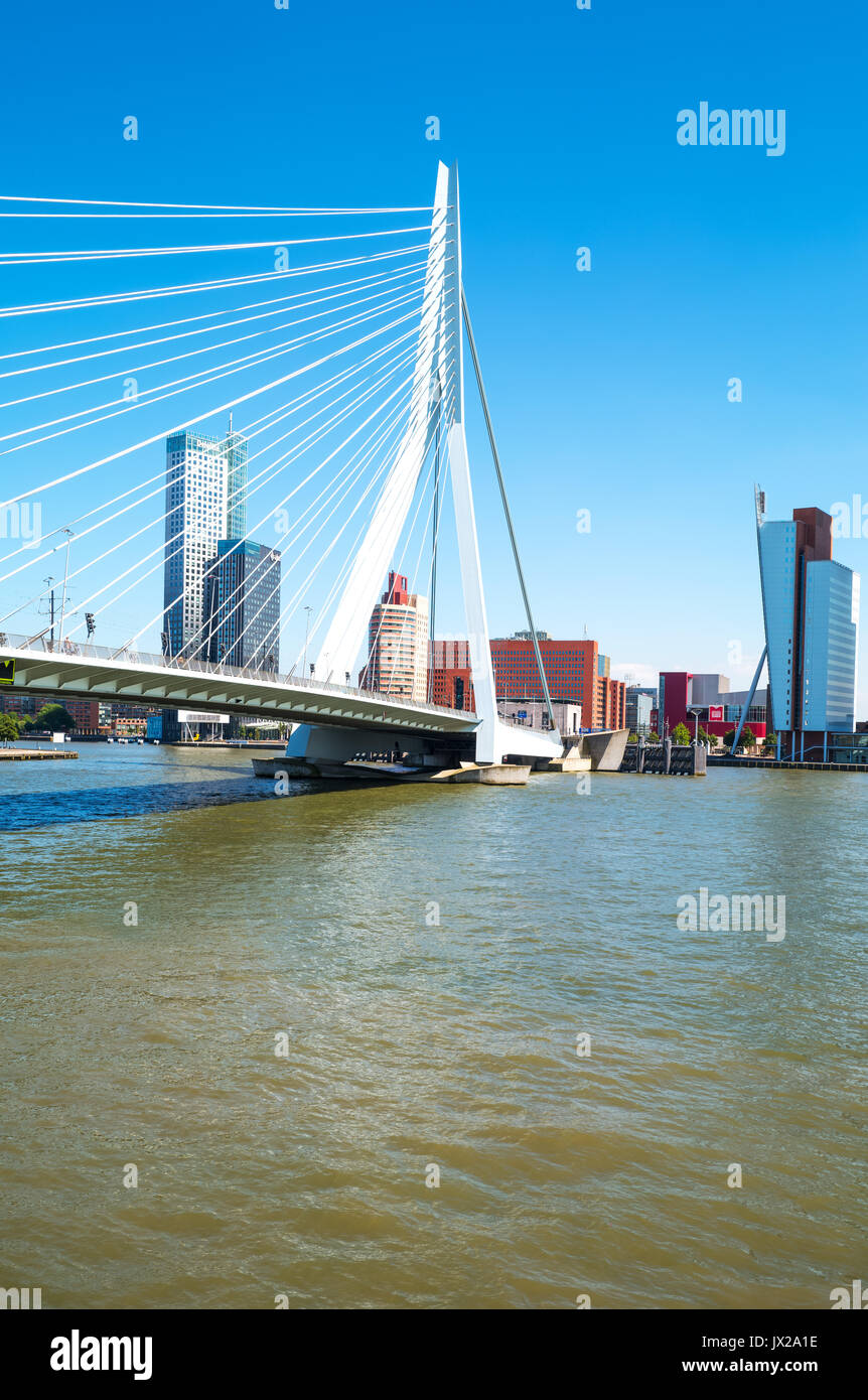 Rotterdam, The Nederlands, the Erasmus bridge on the Maas river with ...