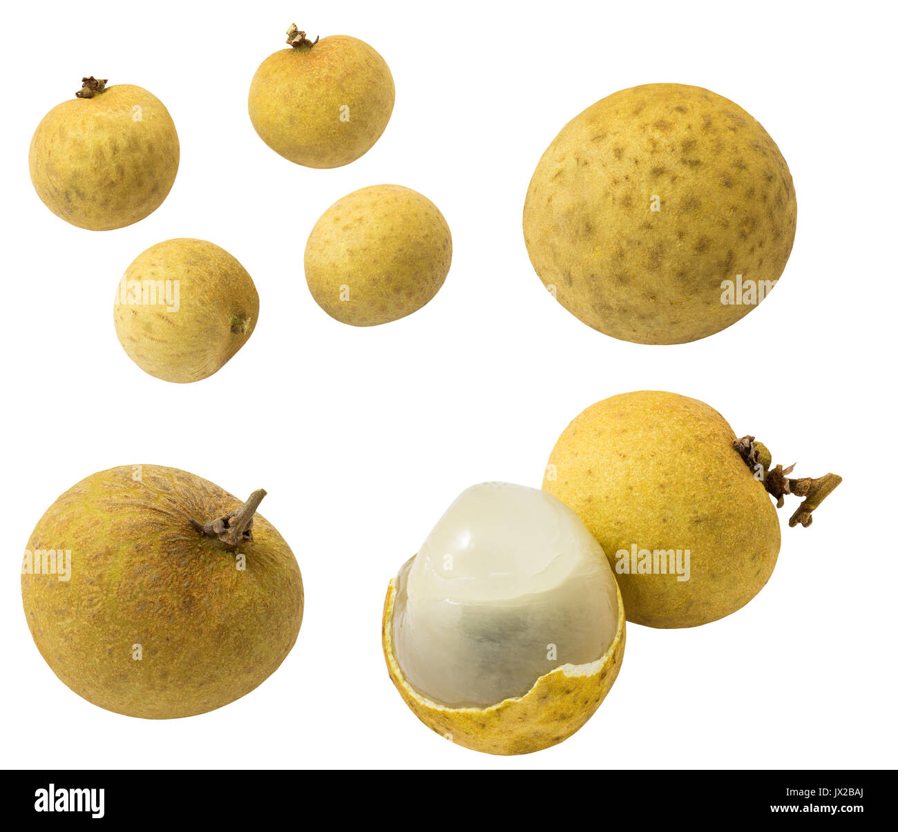 Thai sweet longan isolated on white background (clipping path included ...