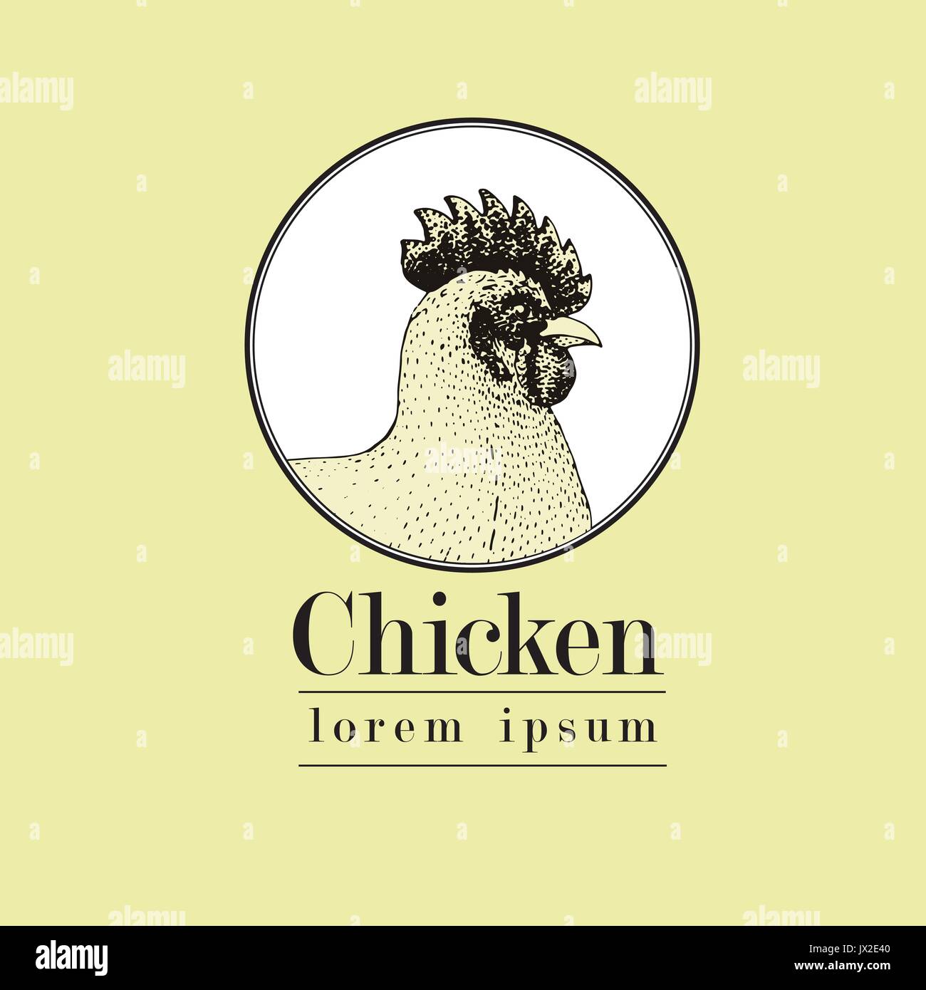 Vector hand drawn chicken illustration. Retro engraving style. Sketch ...