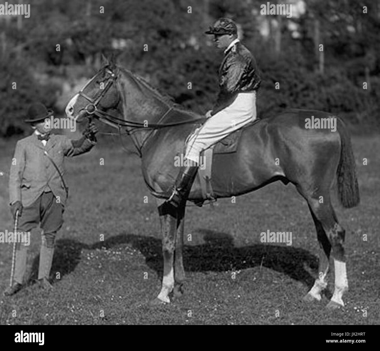 Wild Man From Borneo Stock Photo - Alamy