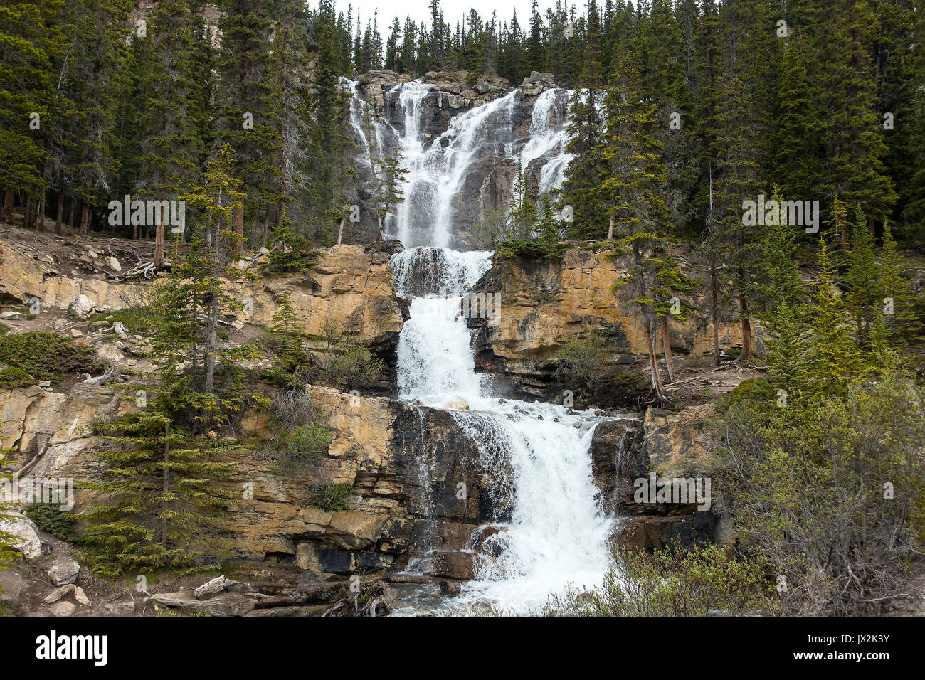 The Beautiful Tangle Creek Falls on the Icefields Parkway near Jasper ...