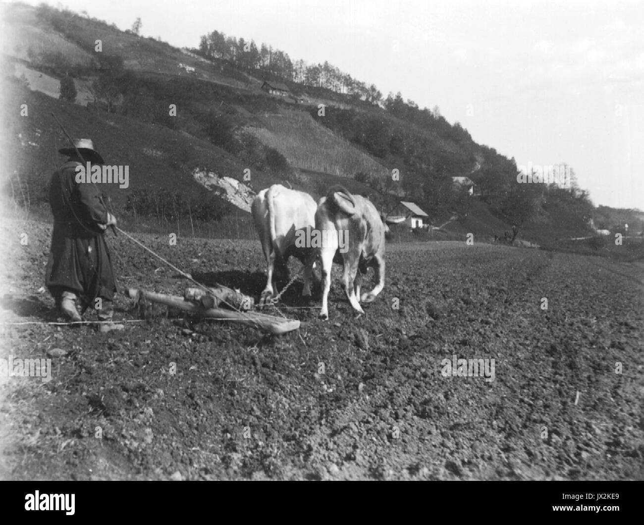 Voli Black and White Stock Photos & Images - Alamy