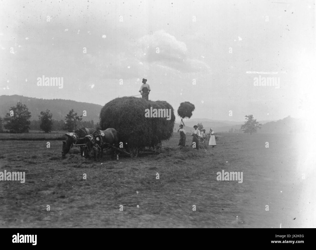 Sena line hi-res stock photography and images - Alamy