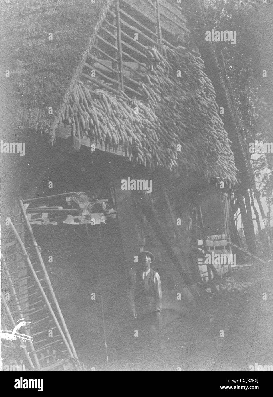 Kozolec High Resolution Stock Photography and Images - Alamy