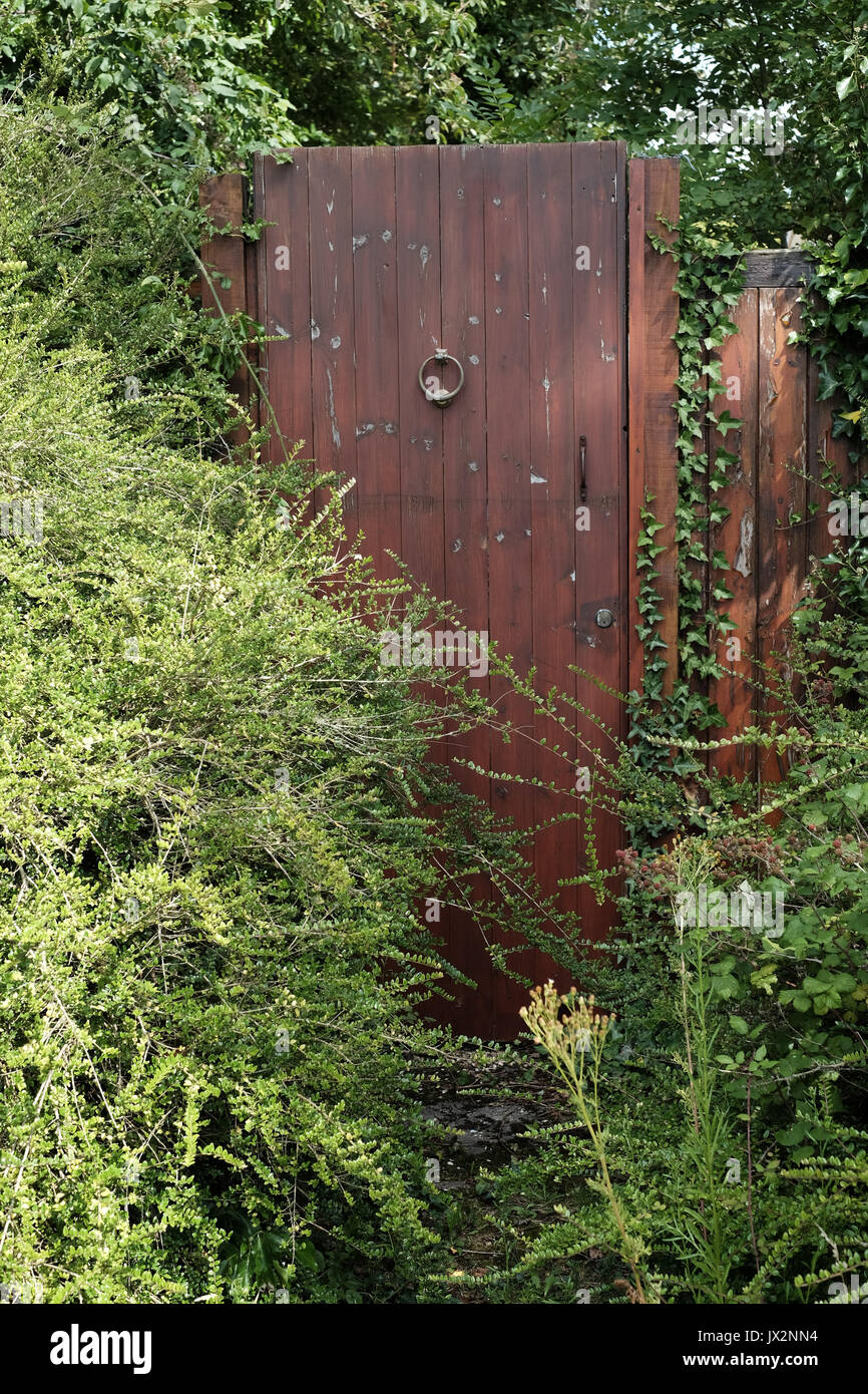 Overgrown garden gate hi-res stock photography and images - Alamy