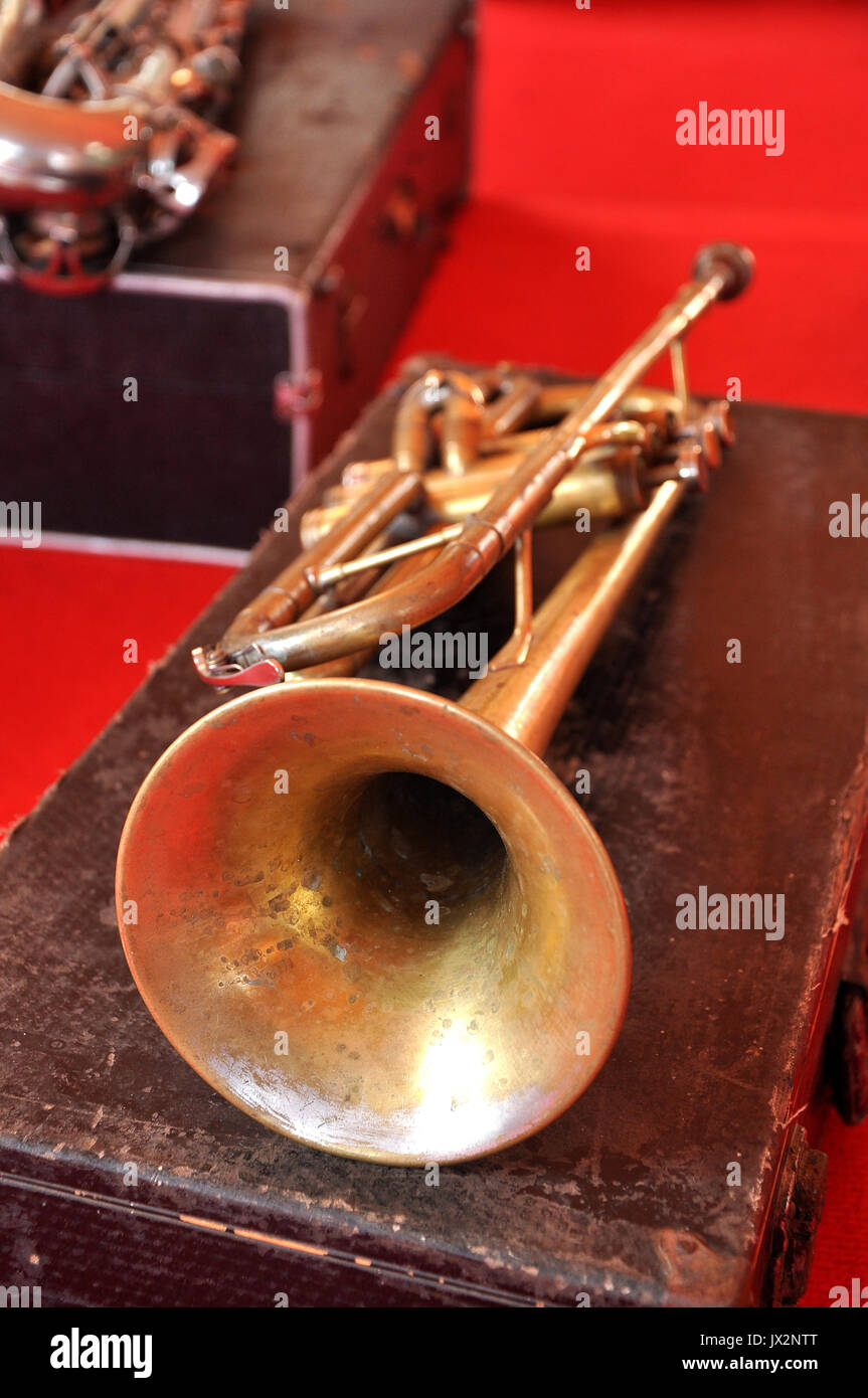 The trumpet is the musical instrument with the highest register in the ...