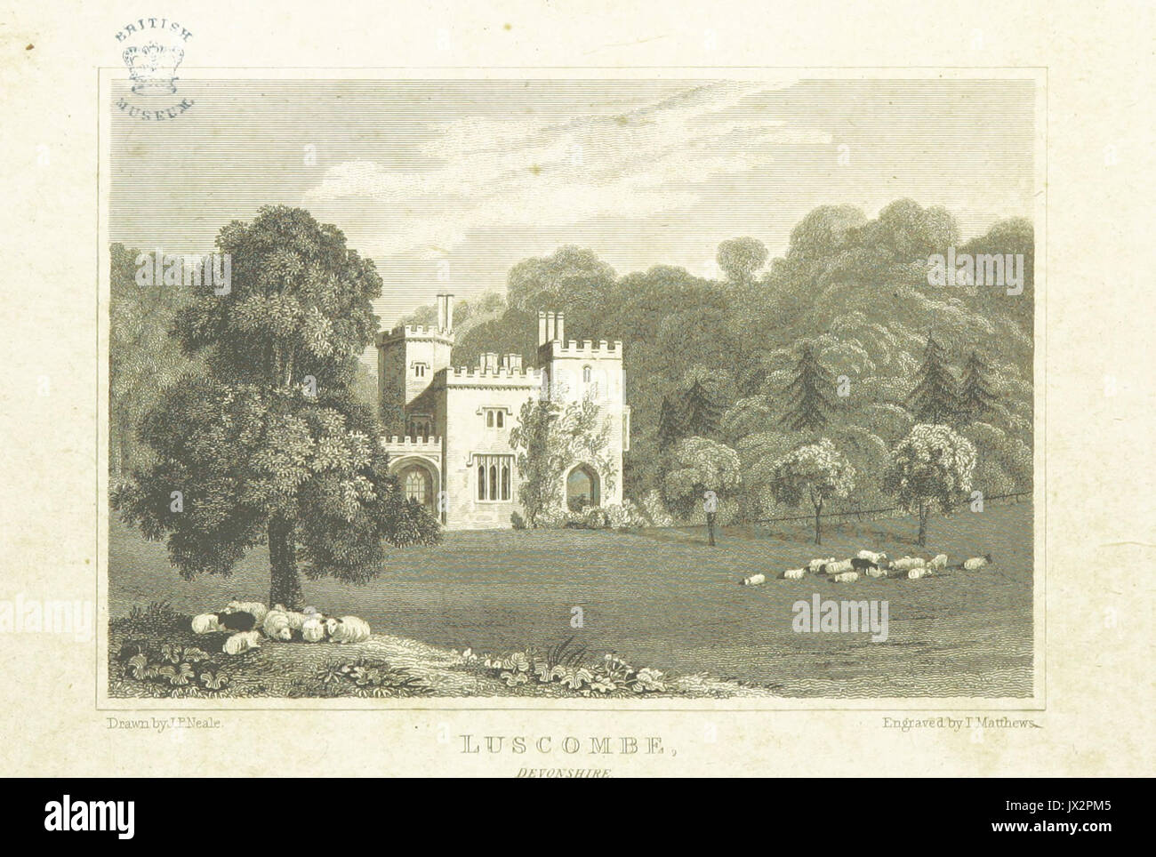 Luscombe High Resolution Stock Photography and Images - Alamy