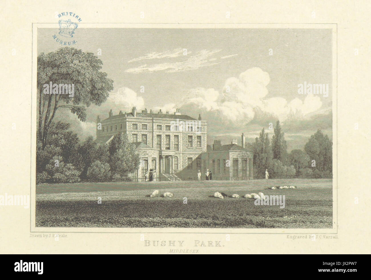 Neale(1818) p2 290 Bushy Park, Middlesex Stock Photo - Alamy Neale(1818) p2 290 Bushy Park, Middlesex Stock Photo - Alamy