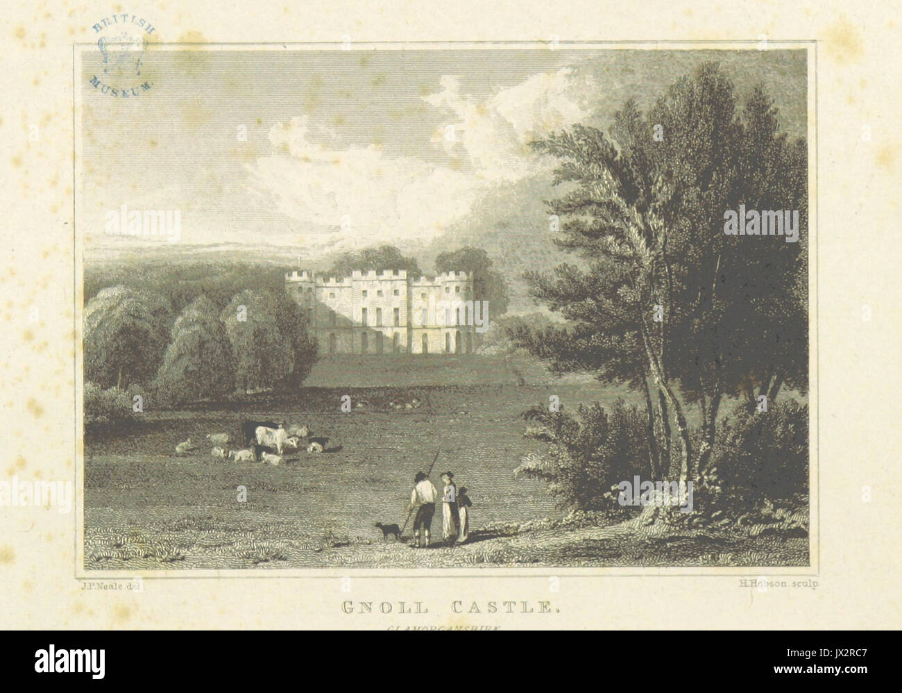 Gnoll High Resolution Stock Photography and Images - Alamy