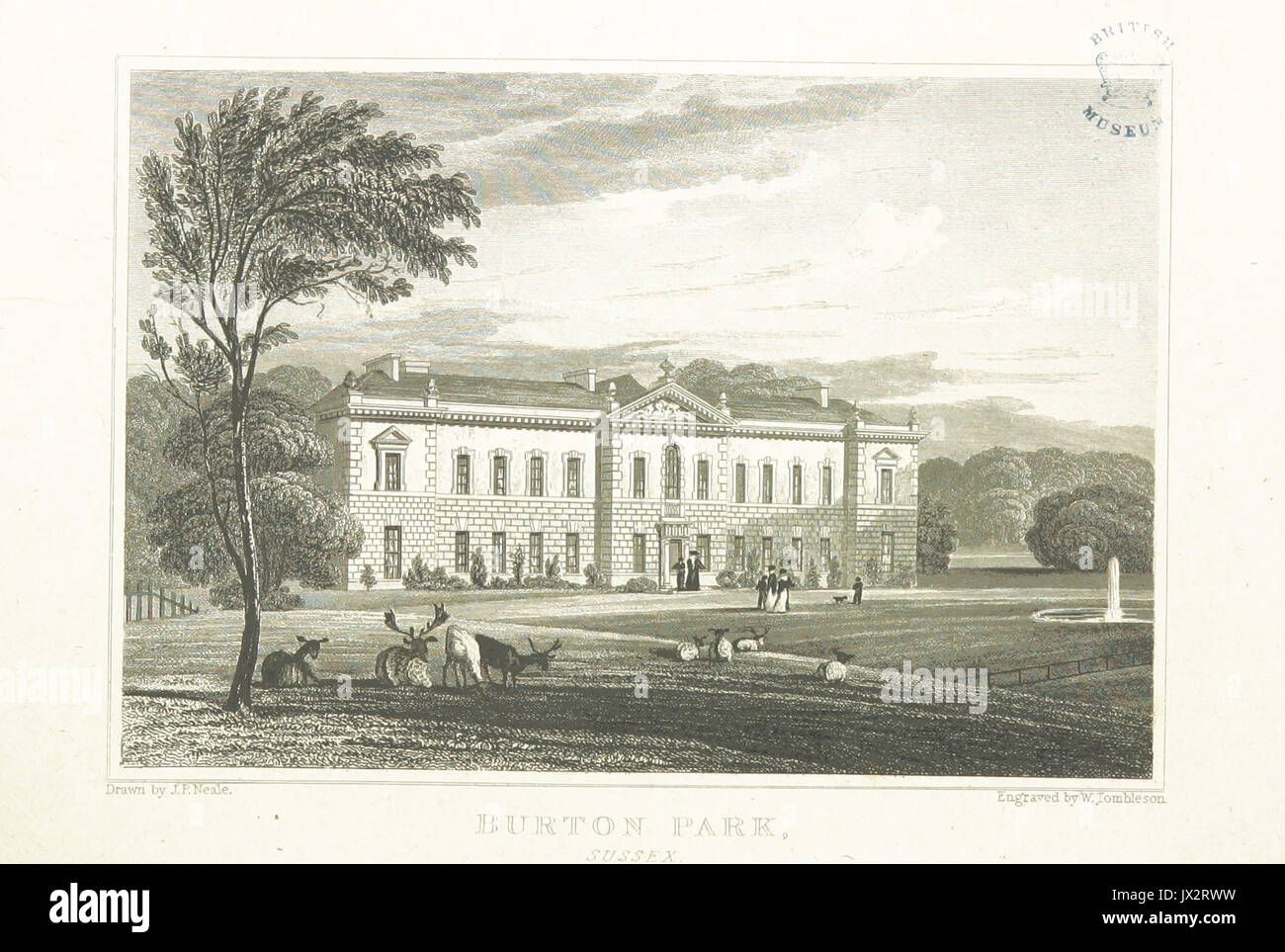 Neale place hi-res stock photography and images - Alamy