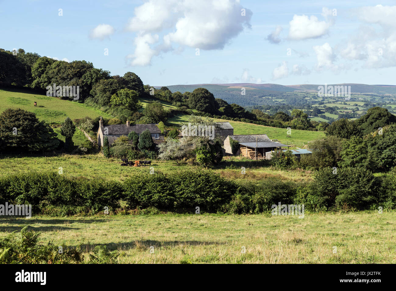Devon hill thatched cottage hi-res stock photography and images - Alamy