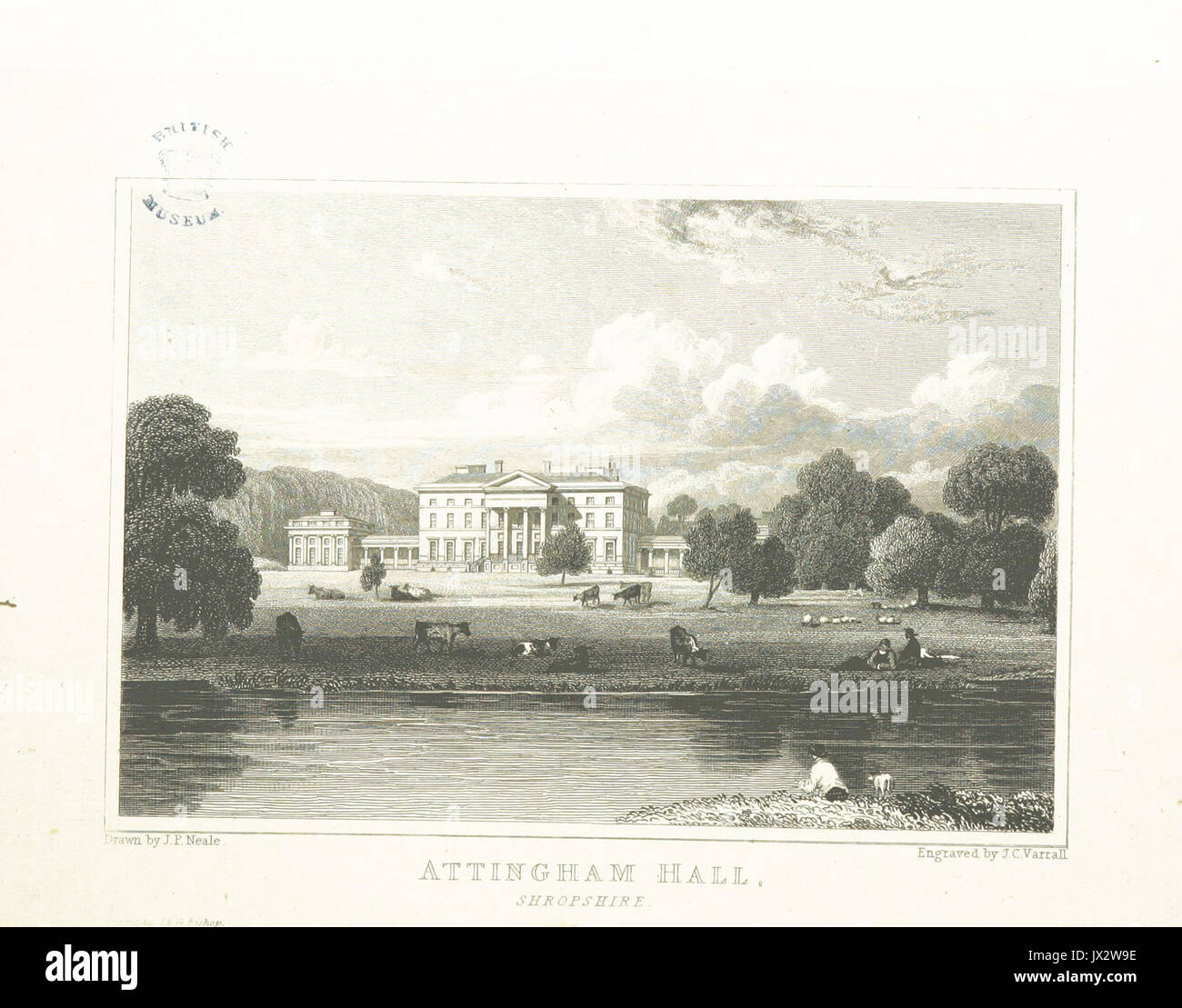 Attingham hi-res stock photography and images - Alamy