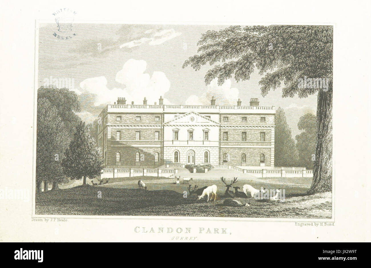 Clandon Park Surrey High Resolution Stock Photography and Images - Alamy