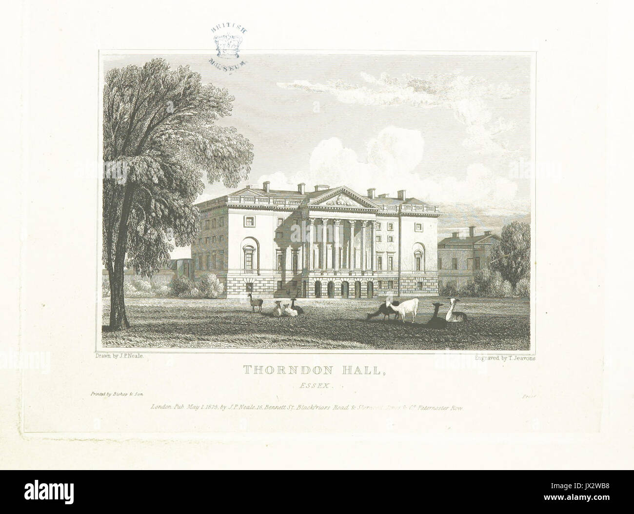 Thorndon hall hi-res stock photography and images - Alamy
