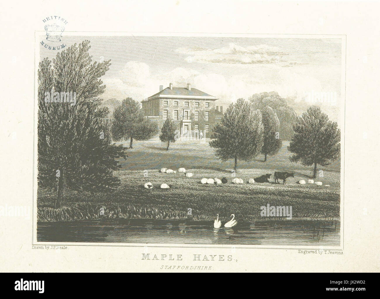 Neale(1825) p2 164 Maple Hayes, Staffordshire Stock Photo - Alamy