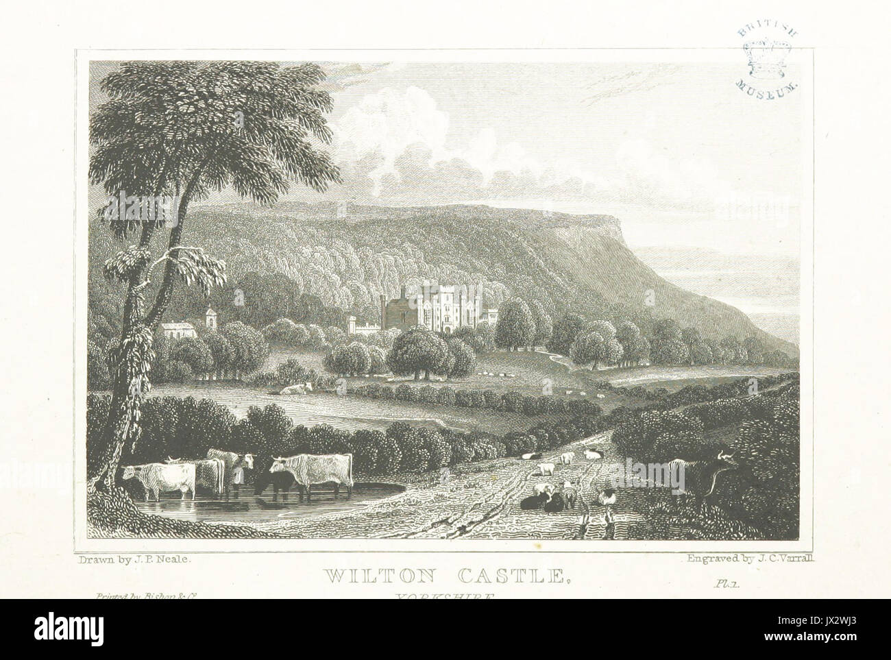 Wilton castle hi-res stock photography and images - Alamy