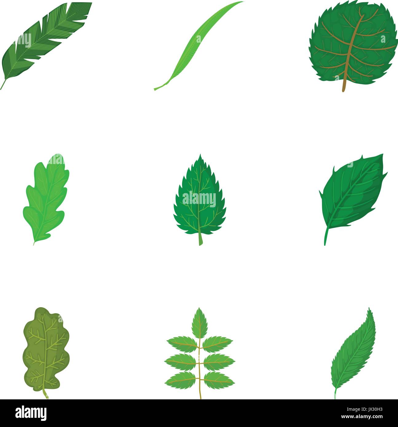 Torn green leaf icons set, cartoon style Stock Vector Image & Art - Alamy