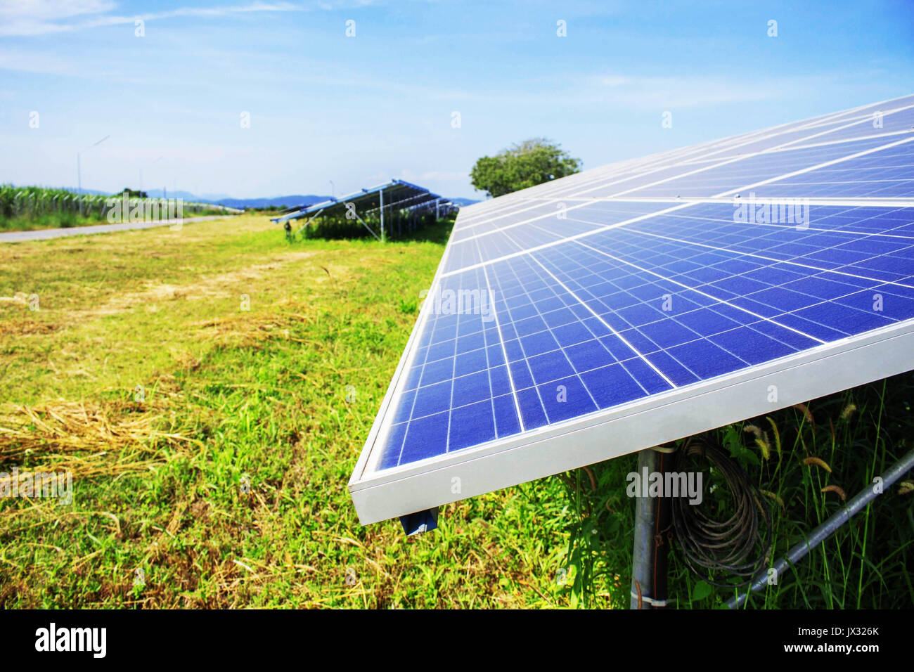 Solar panels on the lawn in a power station with blue sky Stock Photo ...