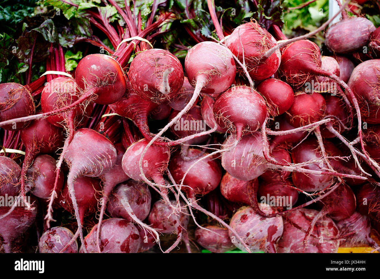 full frame of fresh a small red beetroot beets Stock Photo - Alamy