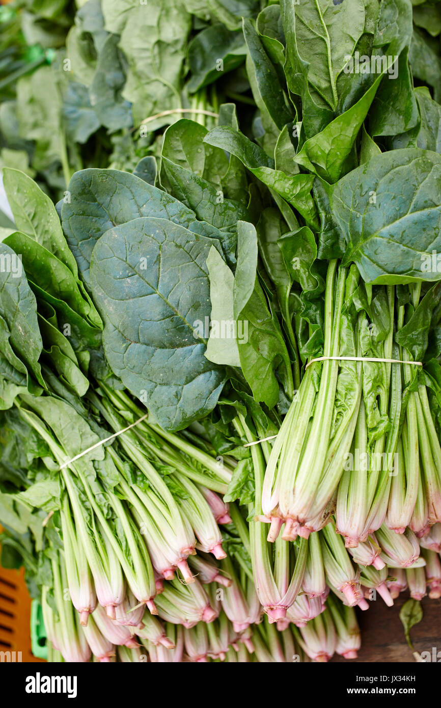 Young organic spinach hi-res stock photography and images - Alamy
